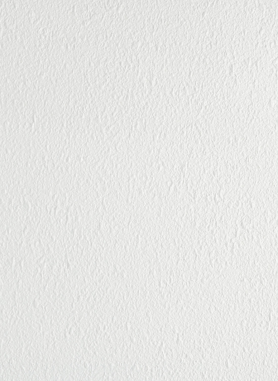 fibo.superpanel.pl > Panel sufitowy Forestia OneStep 1200x600mm 02TF ...